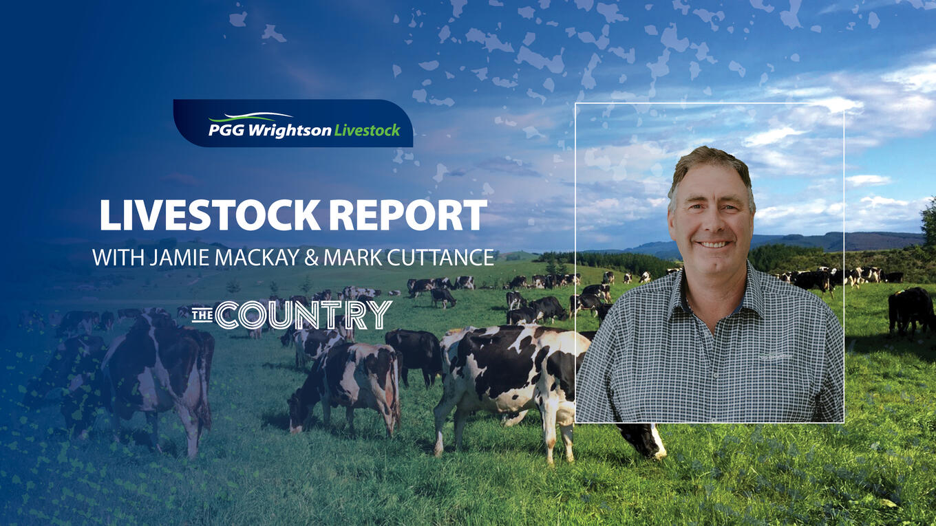 Livestock Report: 'Great guns': Dairy livestock market heats up as calf demand rises | PGG Wrightson